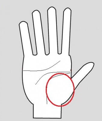 Mont de Vénus Interprétation et Signification